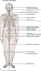 The Ultimate Guide To Posture Correction - Spine & Posture Care Sydney